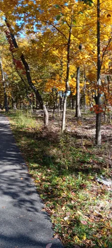 2023 Best River Trails in Western Springs | AllTrails