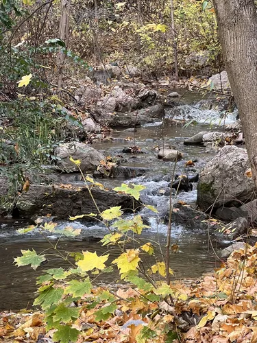 Best Hikes and Trails in Miller Park | AllTrails