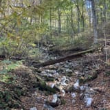 Green River Bluff, Echo River Springs, Sinkhole and Heritage Trail ...