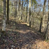 Green River Bluff, Echo River Springs, Sinkhole and Heritage Trail ...