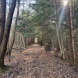 Lye Brook Falls Trail, Vermont - 2,763 Reviews, Map | AllTrails