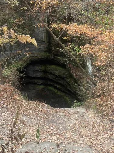 Best Hikes and Trails in Neversink Cave Preserve | AllTrails