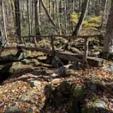 Cosby Nature Trail, Tennessee - 550 Reviews, Map | AllTrails