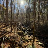 Cosby Nature Trail, Tennessee - 550 Reviews, Map | AllTrails