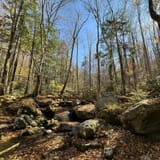 Cosby Nature Trail, Tennessee - 550 Reviews, Map | AllTrails