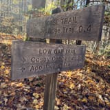 Cosby Nature Trail, Tennessee - 550 Reviews, Map | AllTrails