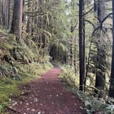 Boulder River Trail, Washington - 1,679 Reviews, Map | AllTrails