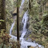 Boulder River Trail, Washington - 1,679 Reviews, Map | AllTrails