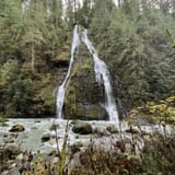 Boulder River Trail, Washington - 1,679 Reviews, Map | AllTrails