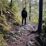 Boulder River Trail, Washington - 1,679 Reviews, Map | AllTrails