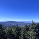 Mount Mitchell Trail, North Carolina - 2,309 Reviews, Map | AllTrails