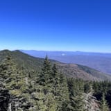Mount Mitchell Trail, North Carolina - 2,309 Reviews, Map | AllTrails