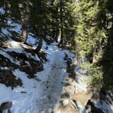 Tamarack Peak Loop, Nevada - 917 Reviews, Map | AllTrails