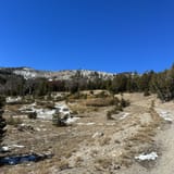 Tamarack Peak Loop, Nevada - 985 Reviews, Map | AllTrails