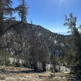 Tamarack Peak Loop, Nevada - 917 Reviews, Map | AllTrails