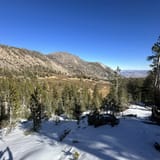 Tamarack Peak Loop, Nevada - 985 Reviews, Map | AllTrails