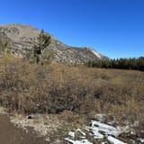 Tamarack Peak Loop, Nevada - 917 Reviews, Map | AllTrails