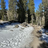 Tamarack Peak Loop, Nevada - 917 Reviews, Map | AllTrails