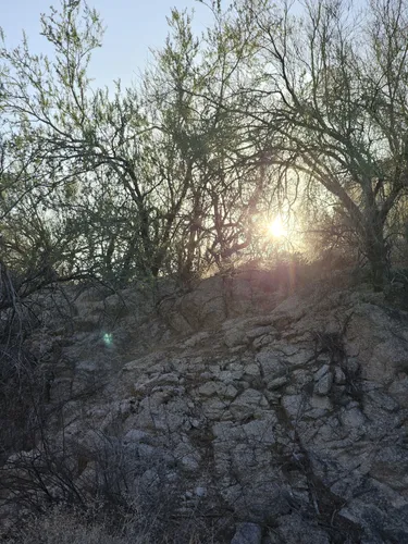 Best Hikes and Trails in Stanfield | AllTrails