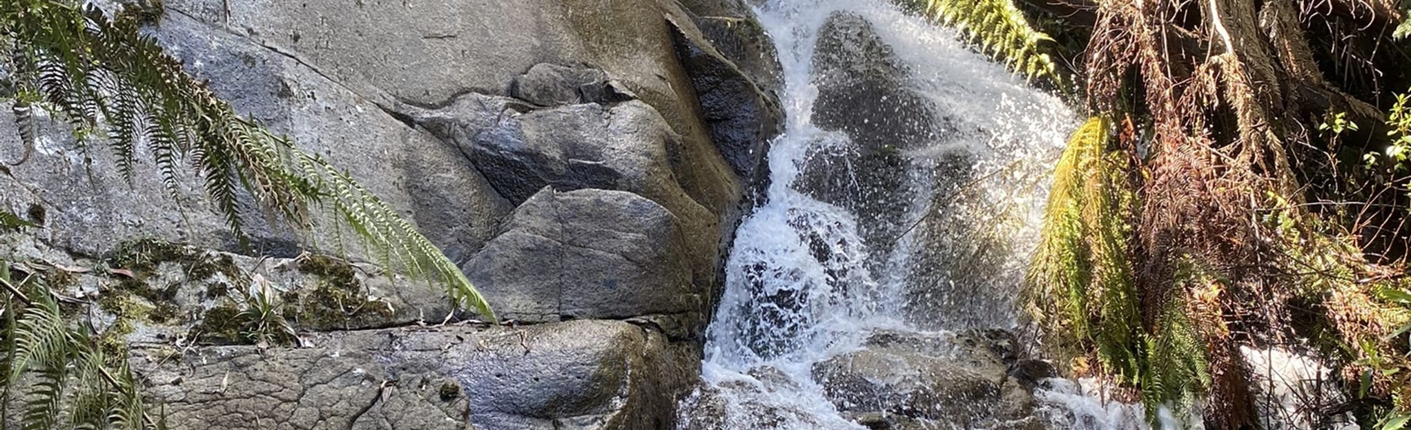 Phantom Falls Walk: 4 foto's - Victoria, Australië | Wandelen - AllTrails