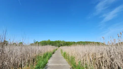 2023 Best Lake Trails in Needham | AllTrails