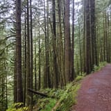 Boulder River Trail, Washington - 1,679 Reviews, Map | AllTrails
