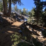 Lake Aloha Trail, California - 1,805 Reviews, Map | AllTrails