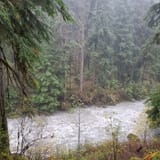 Boulder River Trail, Washington - 1,679 Reviews, Map | AllTrails