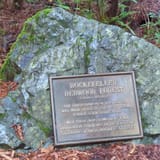 Rockefeller Loop Trail, California - 647 Reviews, Map | AllTrails