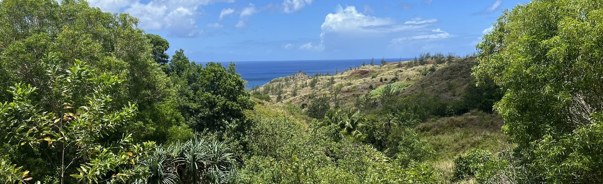 Sella Bay Trail, Guam - 346 Reviews, Map | AllTrails