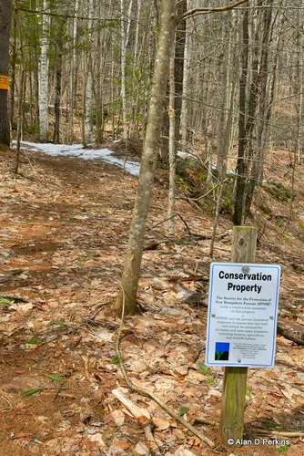 Best Hikes and Trails in Homestead Forest | AllTrails