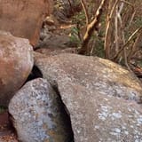Muningi Gorge, Gauteng, South Africa - 105 Reviews, Map | AllTrails