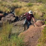 Muningi Gorge, Gauteng, South Africa - 106 Reviews, Map | AllTrails