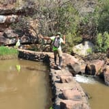 Muningi Gorge, Gauteng, South Africa - 105 Reviews, Map | AllTrails