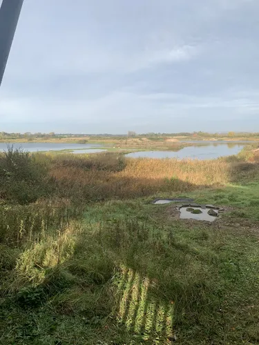 Best Hikes and Trails in North Cave Wetlands | AllTrails