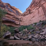 Moonflower Canyon Trail, Utah - 400 Reviews, Map | AllTrails