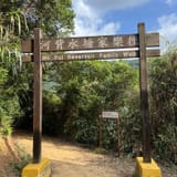 Ho Pui Reservoir Loop, Tsuen Wan, Hong Kong - 74 Reviews, Map | AllTrails
