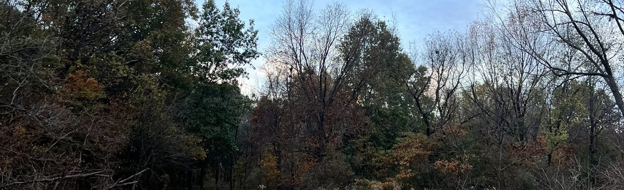 Cherokee Trail Loop, Illinois - 181 Reviews, Map | AllTrails
