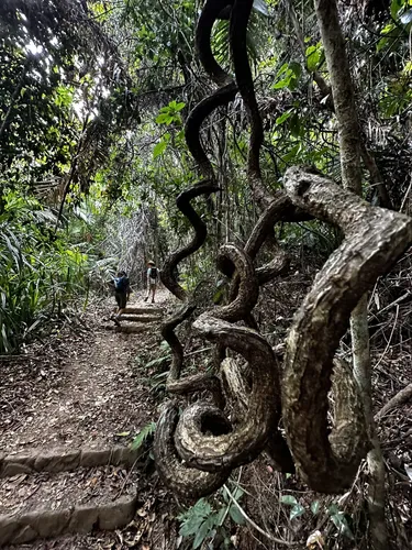 Best Hikes and Trails in Clump Mountain National Park | AllTrails