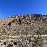 Lajitas Mesa, Texas - 137 Reviews, Map | AllTrails