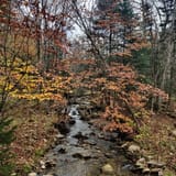 Killington Peak via Bucklin Trail, Vermont - 1,799 Reviews, Map | AllTrails