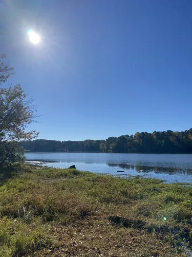 Best Hikes and Trails in Lake Benson Park | AllTrails