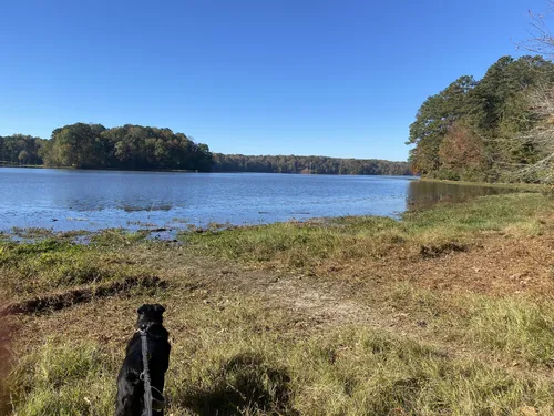 Best Hikes and Trails in Lake Benson Park | AllTrails