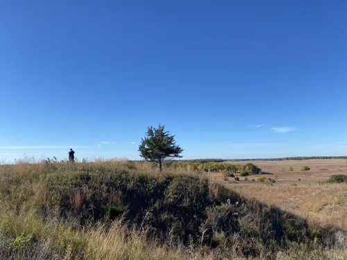 Best Hikes and Trails in Sand Ridge State Forest | AllTrails