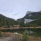 Goat Pond, Alberta, Canada - 135 Reviews, Map | AllTrails