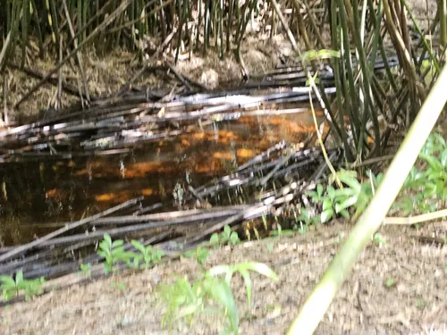 Best Hikes and Trails in Colby-Alderman Park | AllTrails