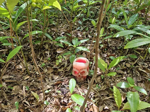 Best Hikes and Trails in Colby-Alderman Park | AllTrails