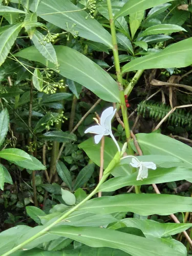 Best Hikes and Trails in Colby-Alderman Park | AllTrails