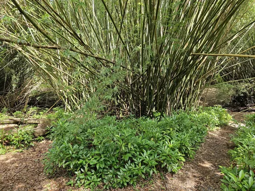 Best Hikes and Trails in Colby-Alderman Park | AllTrails