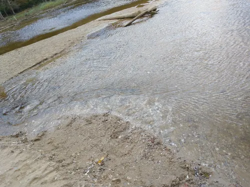 Best Hikes and Trails in Calvert Cliffs State Park | AllTrails